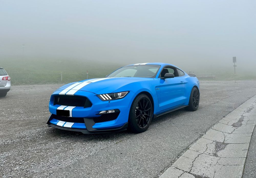 Ford Mustang Shelby Gt 350 Gebraucht