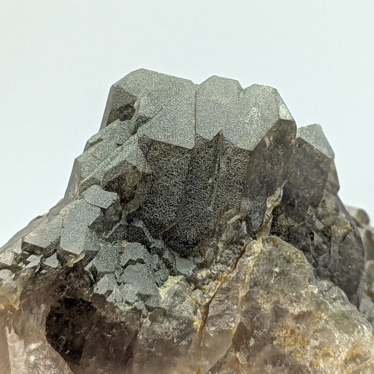 RAUCHQUARZ PLATT mit GRÜNEM CHLORIT, Mont Blanc (Nuovo (secondo la descrizione)) a Balerna per ...