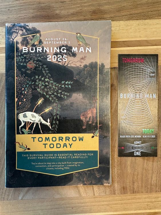 Burning Man Ticket (Neu und originalverpackt) in Zürich für CHF 1 – mit ...