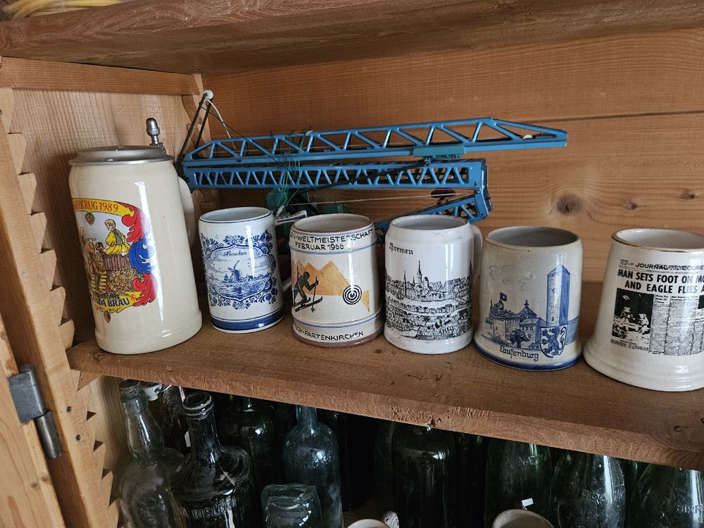 bierkrug boccali birra 10 stück (Usato) a Cevio per CHF 50 – con consegna | Acquista su Ricardo