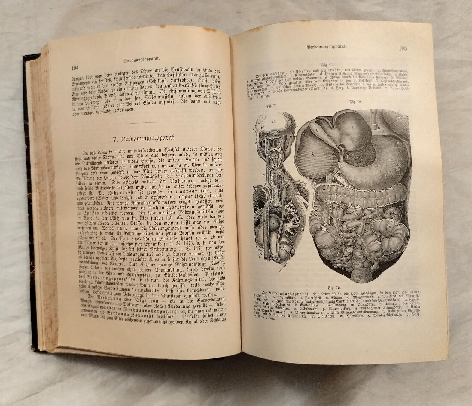 Das Buch vom gesunden und kranken Menschen / 1898 ab Fr. 20. (Gebraucht ...
