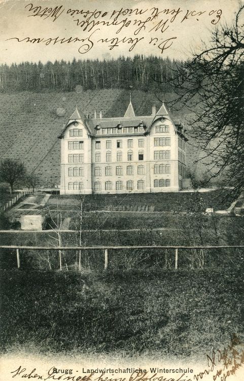 Brugg | Kaufen auf Ricardo