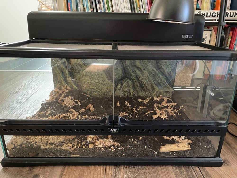 Exo Terra Terrarium M | Kaufen auf Ricardo