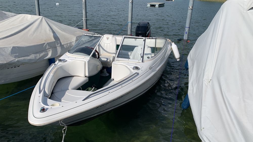 Sportboot Campion Allante 505 BR mit 75PS Mercury | Kaufen auf Ricardo