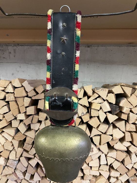 Treichel ab CHF 1.- | Kaufen auf Ricardo