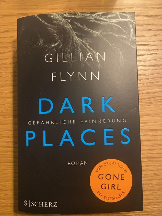 Gillian Flynn "Dark Places" Thriller Roman Topzustand | Kaufen auf Ricardo