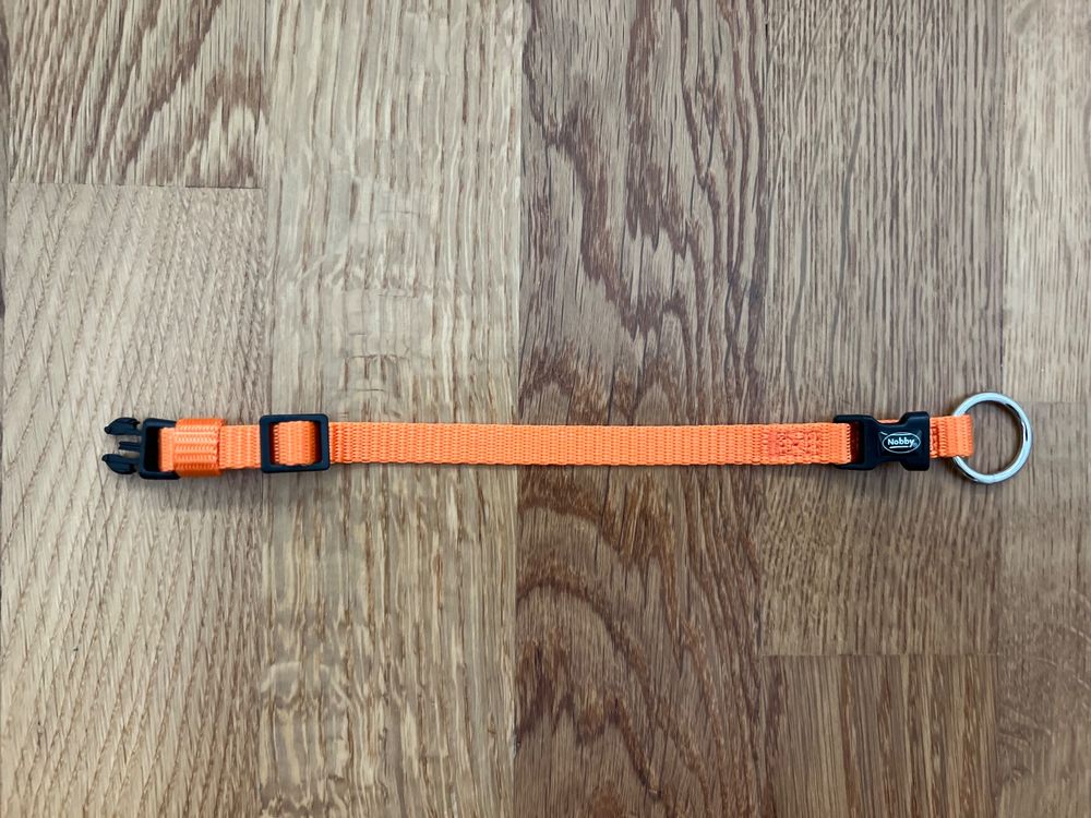 Hundehalsband 13-20cm (Gebraucht) in Glattpark(Opfikon) für CHF 3 – mit Lieferung auf Ricardo kaufen