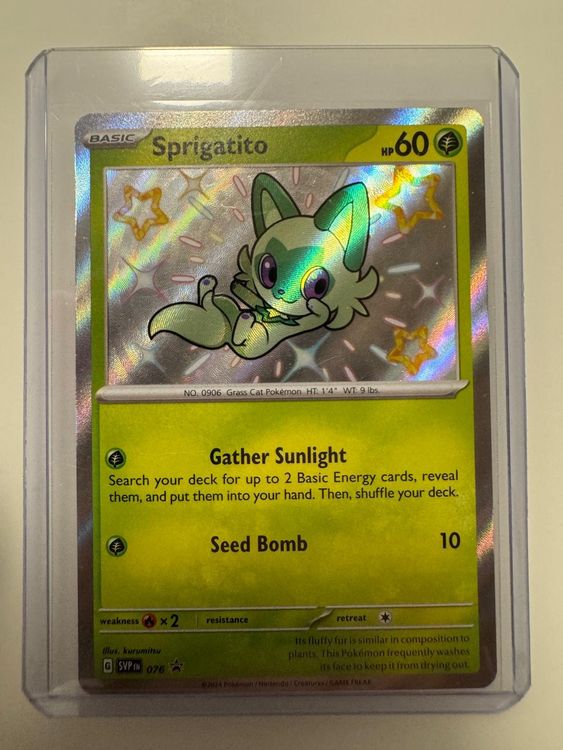 Sprigatito | Black Star Promo | SVP 076 | EN (Gebraucht) in ...
