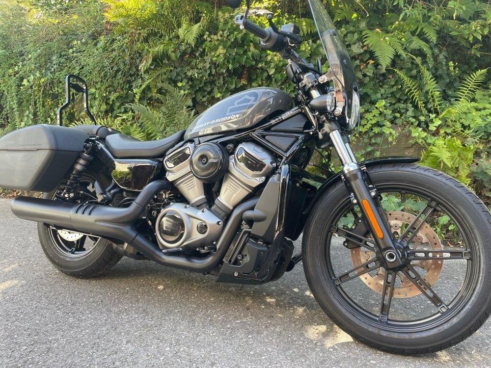 Harley RH 975 Sportster RH 975 ccm Nighster 45 PS nur 250 km | Kaufen ...