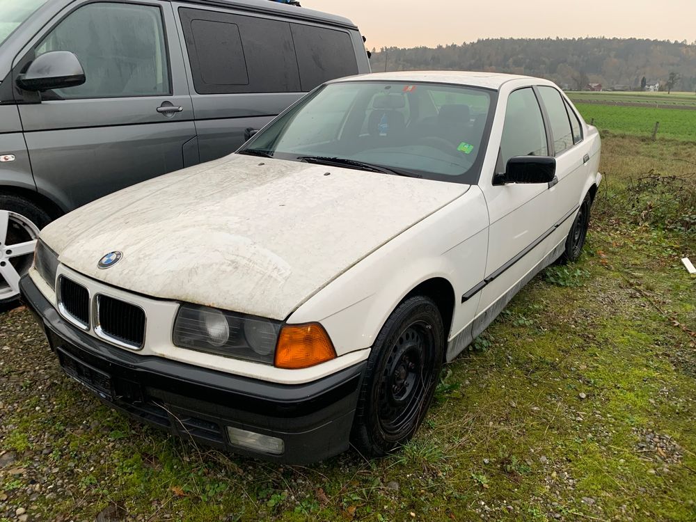 BMW E36 318i | Kaufen auf Ricardo