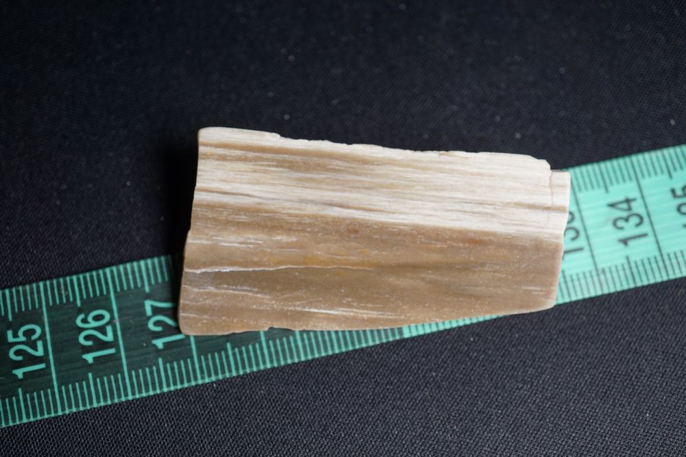 Versteinertes Holz Stück ab 1.- | Kaufen auf Ricardo