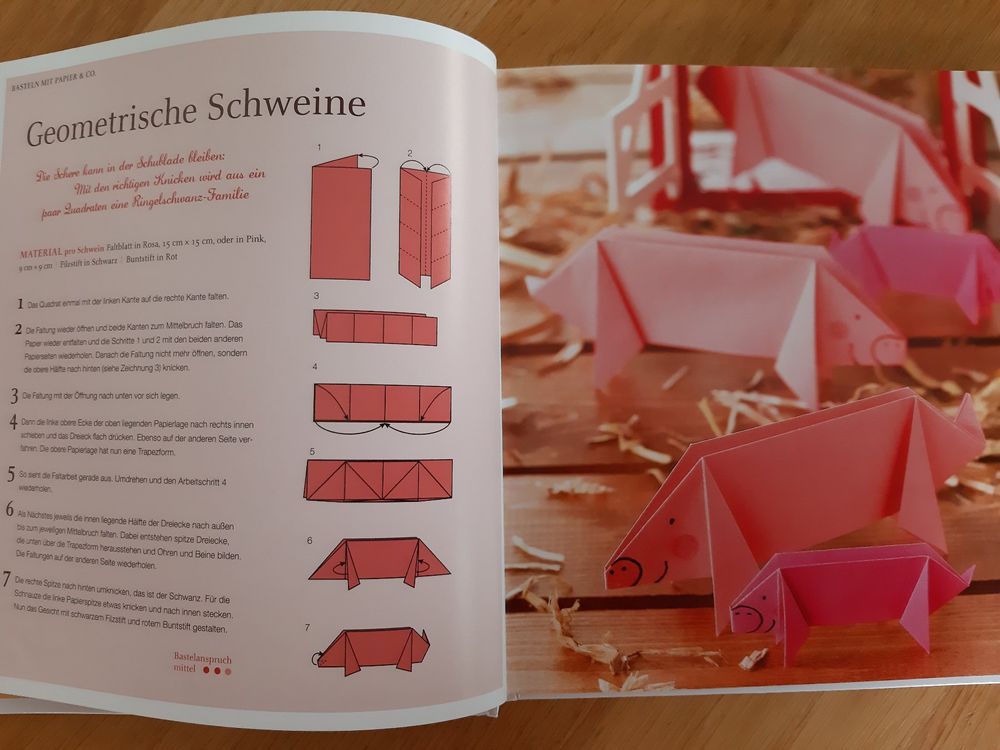 Buch Bastelideen, Basteln mit Kindern (Gebraucht) in Wabern für CHF 1 ...