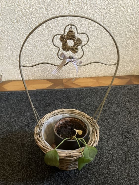 Vintage Blumenkorb mit Halterung, Shabby Chic Stil! (Gebraucht) in Aathal-Seegräben für CHF 9 ...
