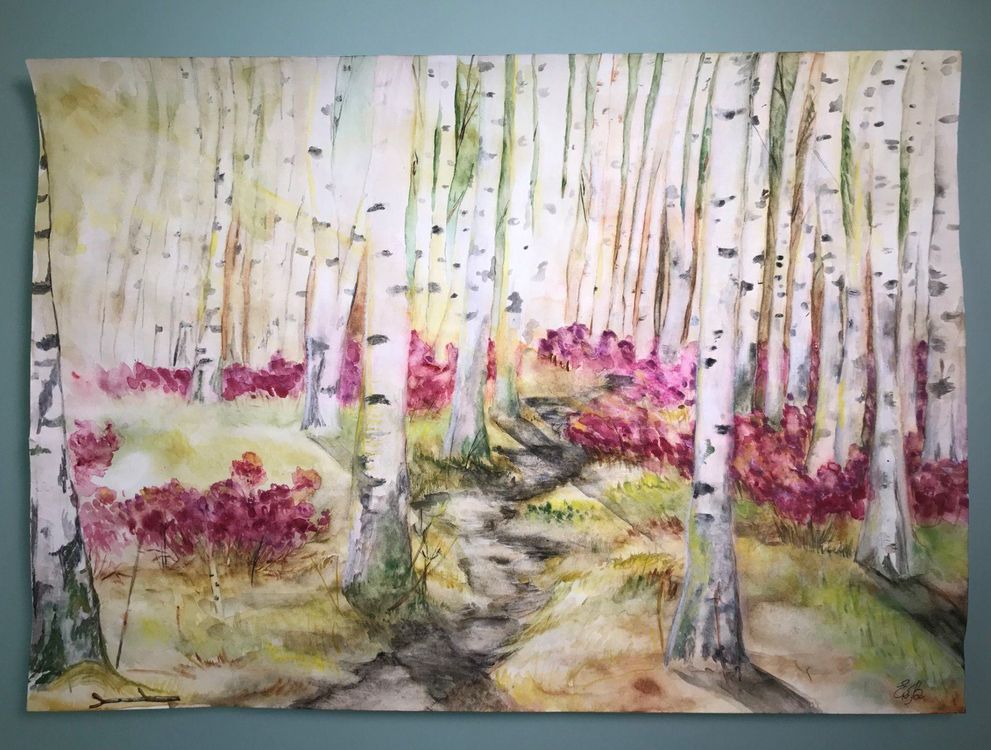 "Birkenwald" Aquarellbild - signiert (Gebraucht) in Laufen für CHF 11 – mit Lieferung auf ...