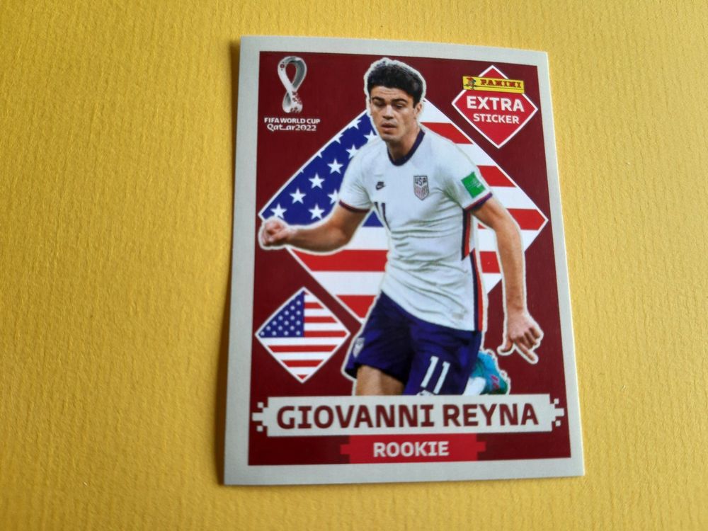 WM 2022 in Qatar EXTRA STICKER RAPHAEL VARANE Farbe Braun (Neu (gemäss Beschreibung)) in Koblenz ...