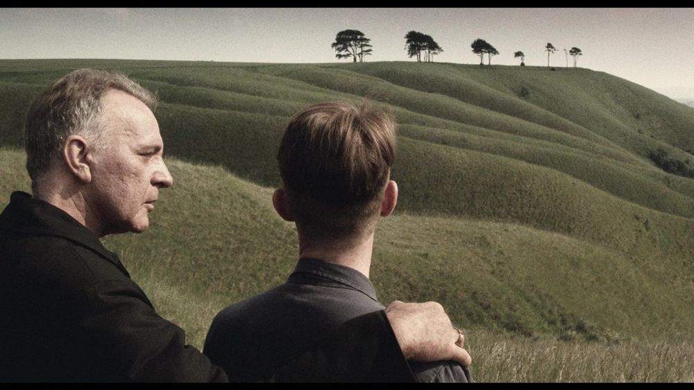 1984 (1984) Michael Radford/Richard Burton/John Hurt/Blu-ray (Neu (gemäss Beschreibung)) in ...