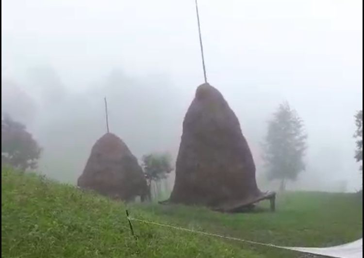 Heu, Streue, Stroh | Kaufen auf Ricardo