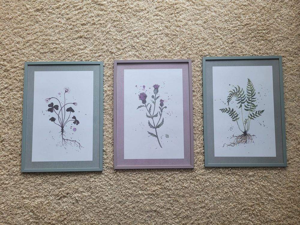 3-er Set Bilder | Kaufen auf Ricardo