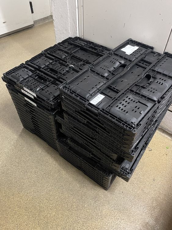 IFCO Kisten 40Stück Gross (Neu (gemäss Beschreibung)) in Biberist für ...