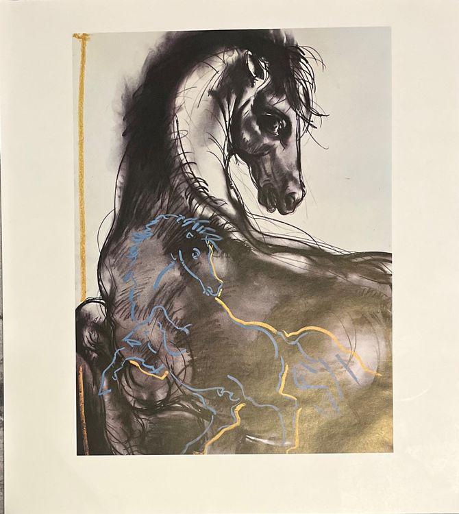 Hans Erni (1920-1955) Graphic mit Pferden (Gebraucht) in Hochdorf für CHF 10 – mit Lieferung auf ...