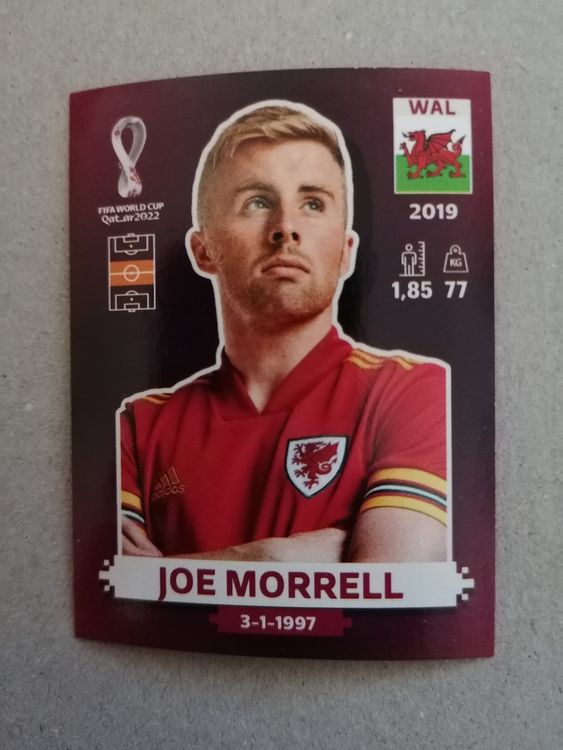 Panini WM 2022 Qatar WAL 13 Joe Morrell | Kaufen auf Ricardo