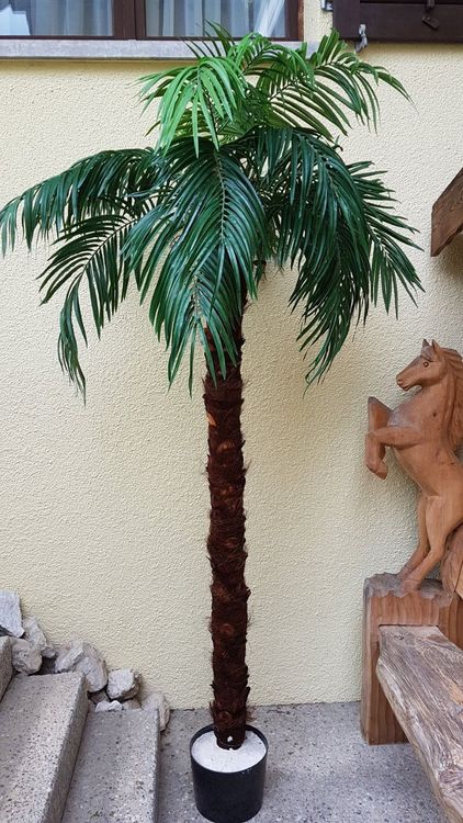 Deko-Palme | Kaufen auf Ricardo