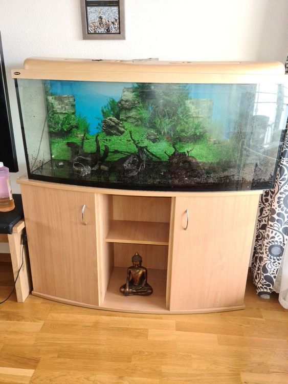 Aquarium 250L inkl. Möbel und Zubehör | Kaufen auf Ricardo