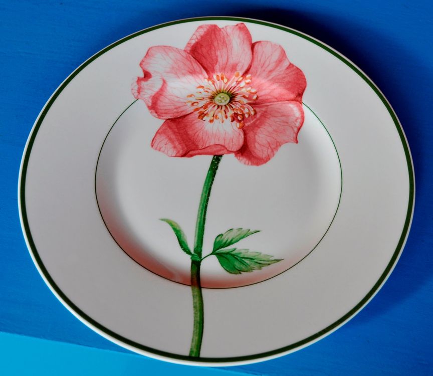 Villeroy & Boch FLORA Frühstücksteller Dessertteller Rose | Kaufen auf ...