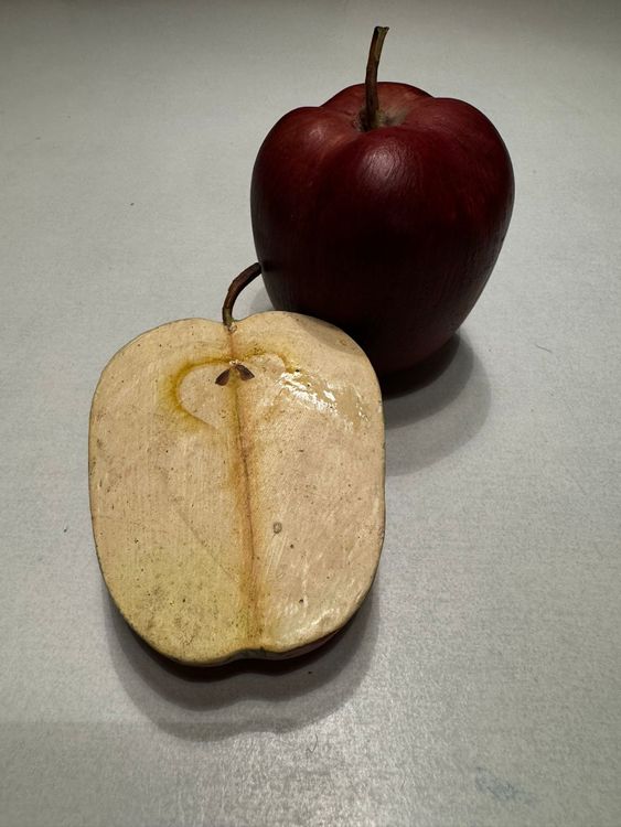 2 x Deko Äpfel | Kaufen auf Ricardo