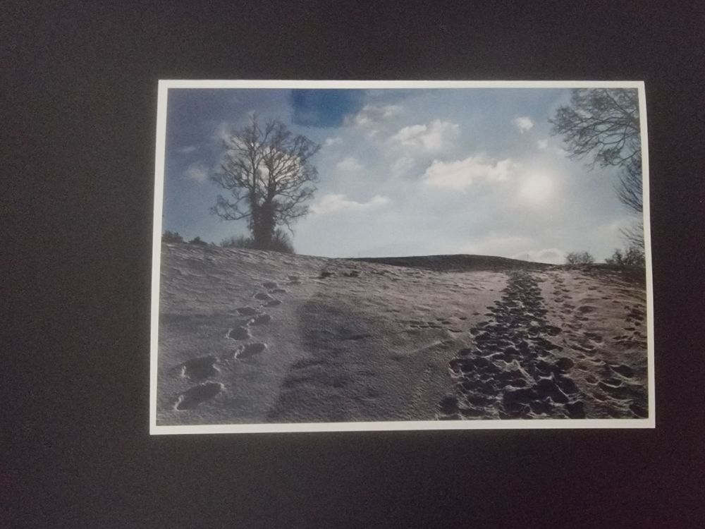 1 Karte / Motiv: Winter in Zumikon / Zürich (handgemacht) (Neu und originalverpackt) in Zumikon ...