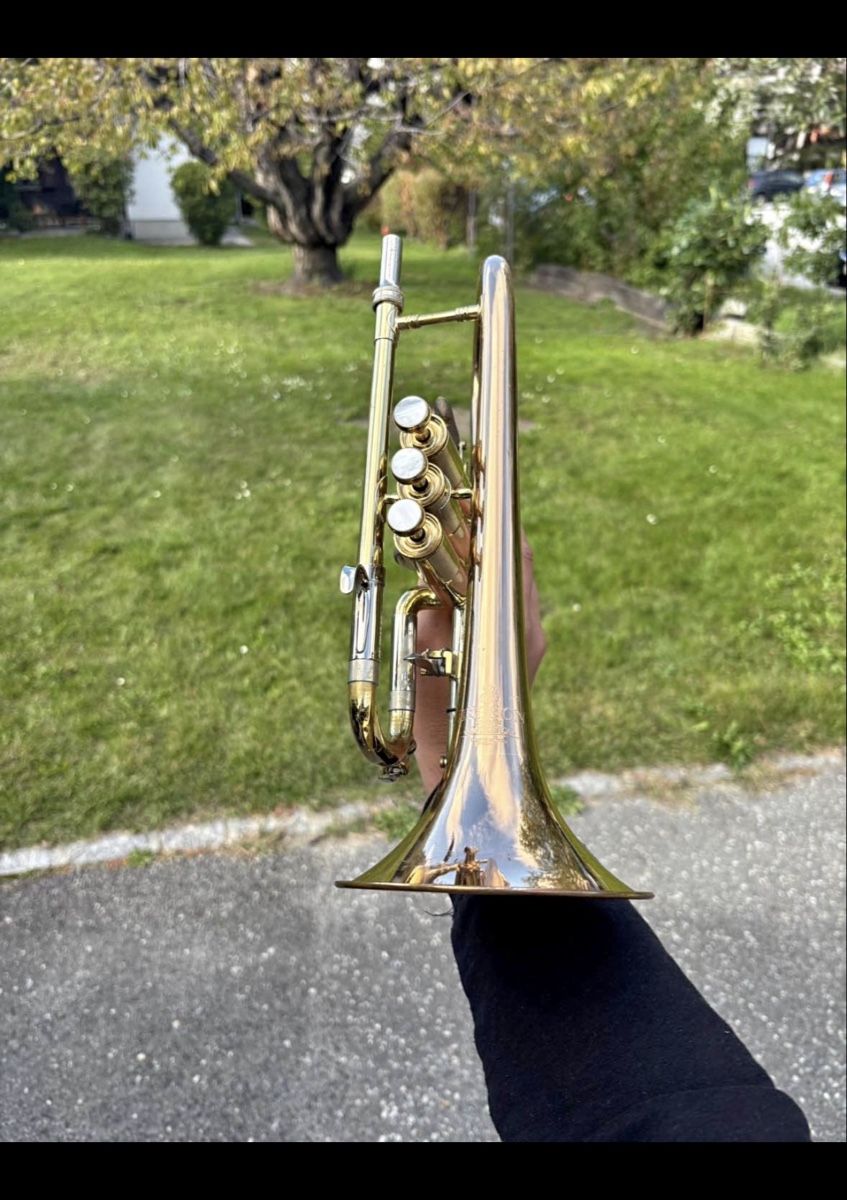 Besson Sovereign Es-Cornet (London) – guter Zustand (Gebraucht) in ...