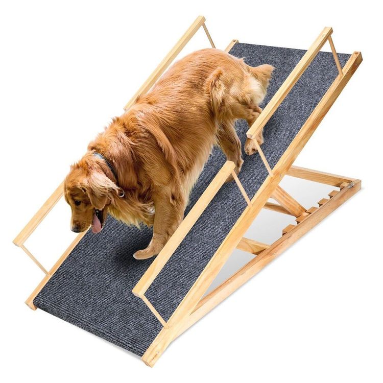 Hunderampe Hundetreppe aus Holz auch fü… | Kaufen auf Ricardo
