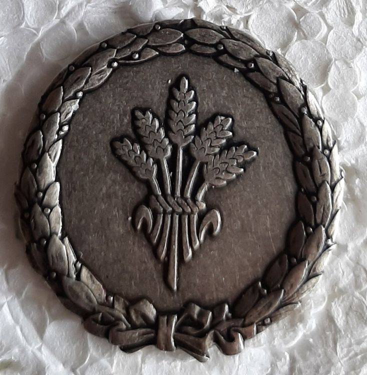 Funktionsabzeichen (Neu (gemäss Beschreibung)) in Dottikon für CHF 5 – mit Lieferung auf Ricardo ...