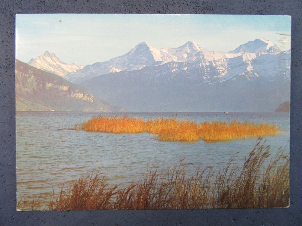AK BEO THUNERSEE ALPENPANORAMA (Gebraucht) in Ettingen für CHF 0.45 – mit Lieferung auf Ricardo ...