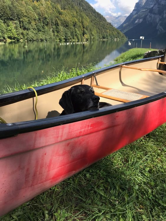 Kanadier (Gebraucht) in Uetikon am See für CHF 619 – nur Abholung auf ...