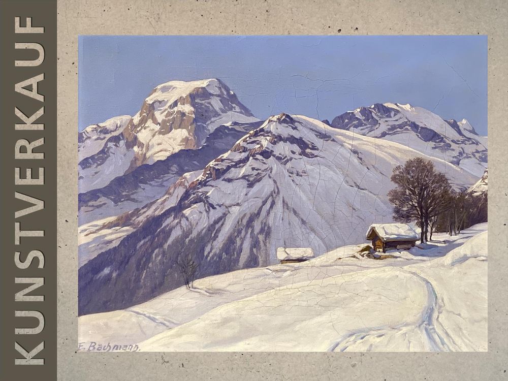 Edwin Carl Bachmann - Swiss Art (Gebraucht) in Sursee für CHF 660 – mit ...