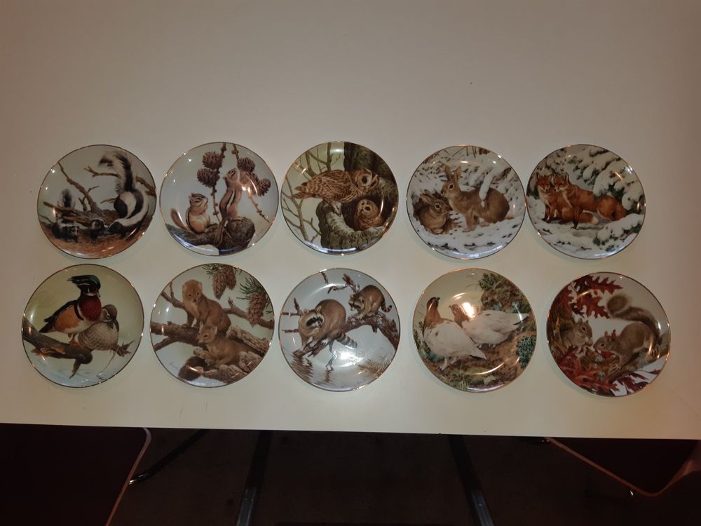 10 SAMMELTELLER VON (THE COLLECTORS STUDIO) THE FORREST YEAR | Kaufen ...