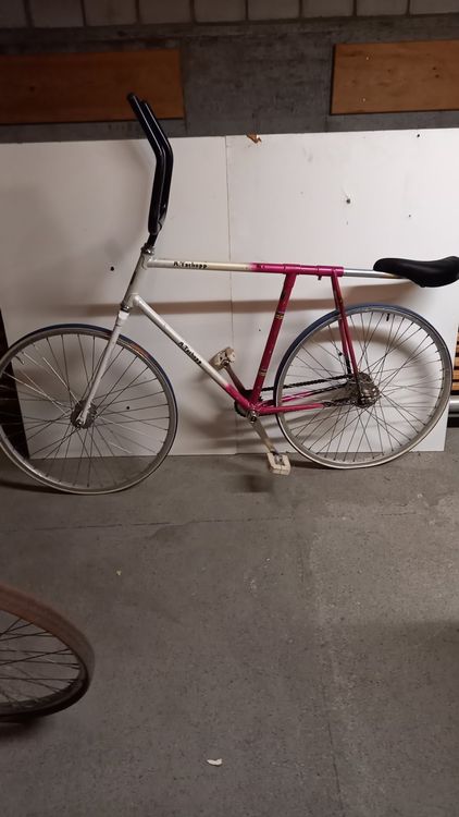 Radball Velo mit Ball | Kaufen auf Ricardo
