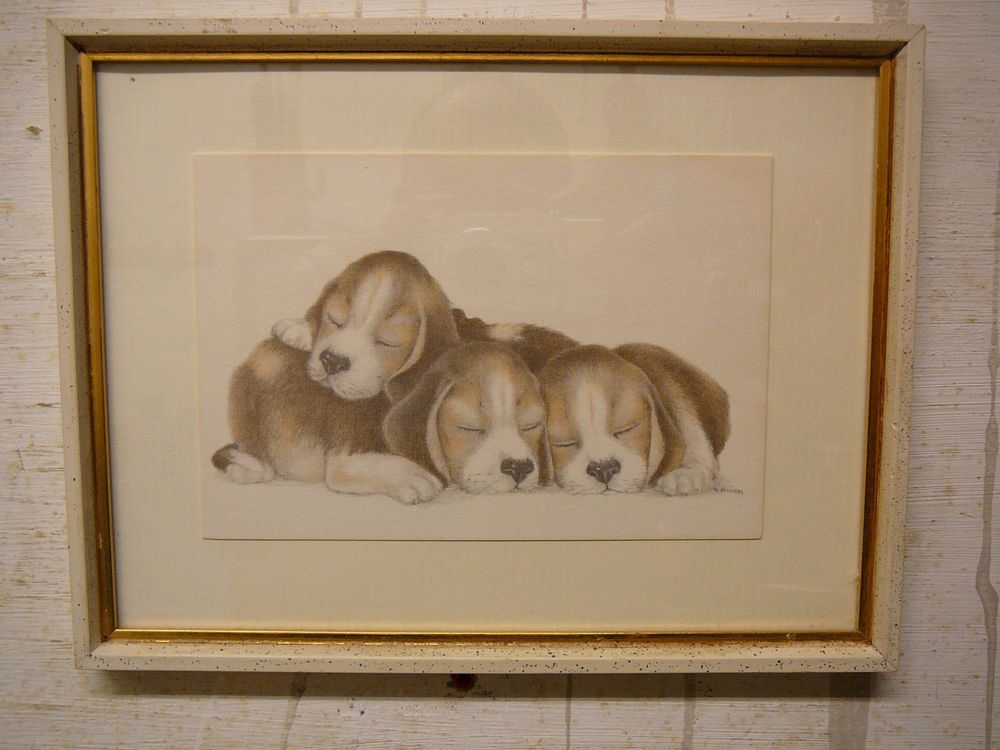Bild 3schlafende Welpen von V.Milier?? +1 Bildrahmen 33x27 (Gebraucht ...