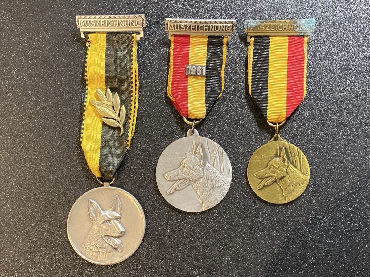 Alte Hundeauszeichnungen am Band, 3 Stk., Top Zustand! (Gebraucht) in ...