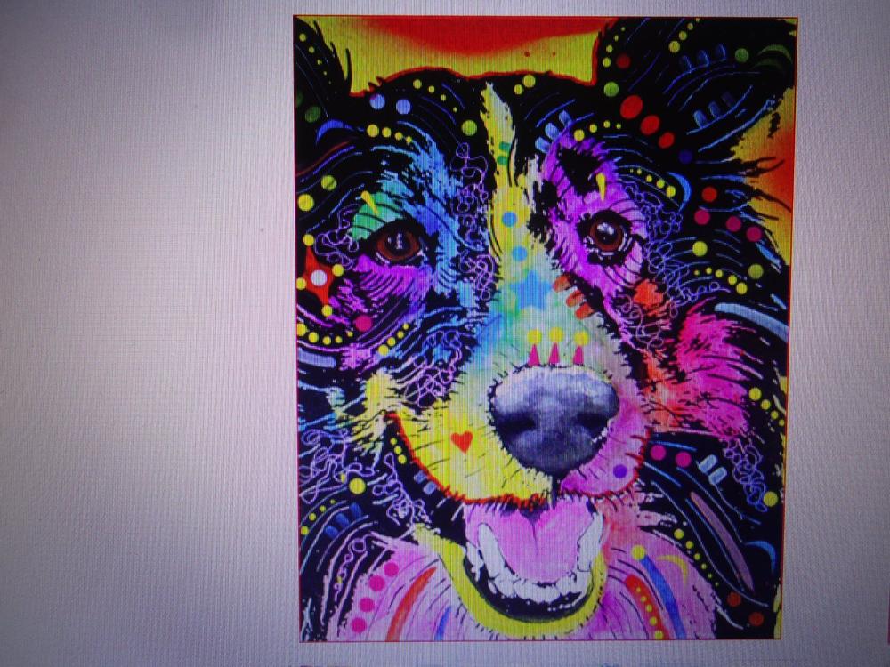 neu! Malen nach Zahlen, 40 x 50 cm, alles dabei + Rahmen (Neu (gemäss Beschreibung)) in Schüpfen ...