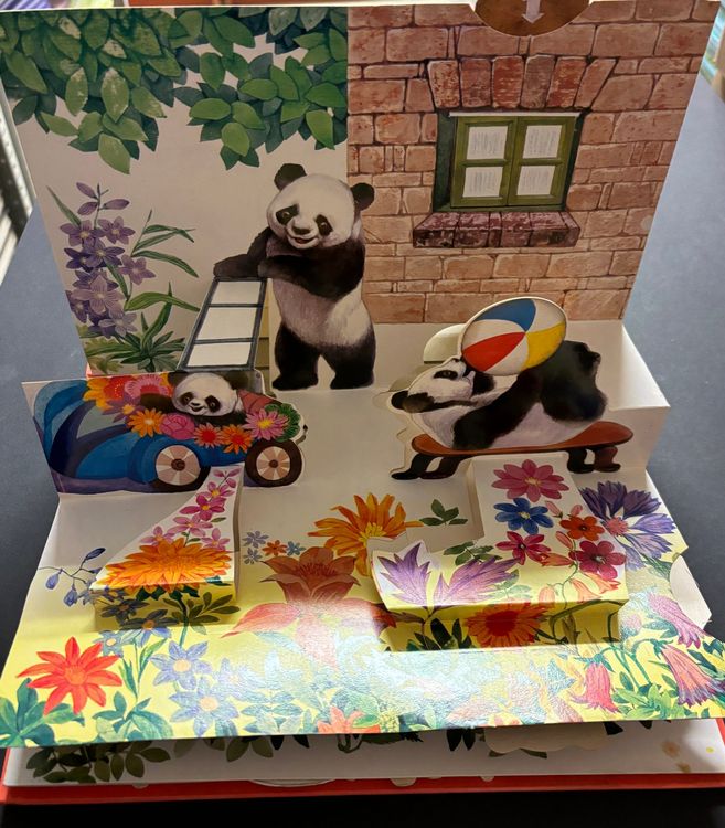 Der fröhliche Panda (Pop up Buch) (Neu und originalverpackt) in Sarnen ...