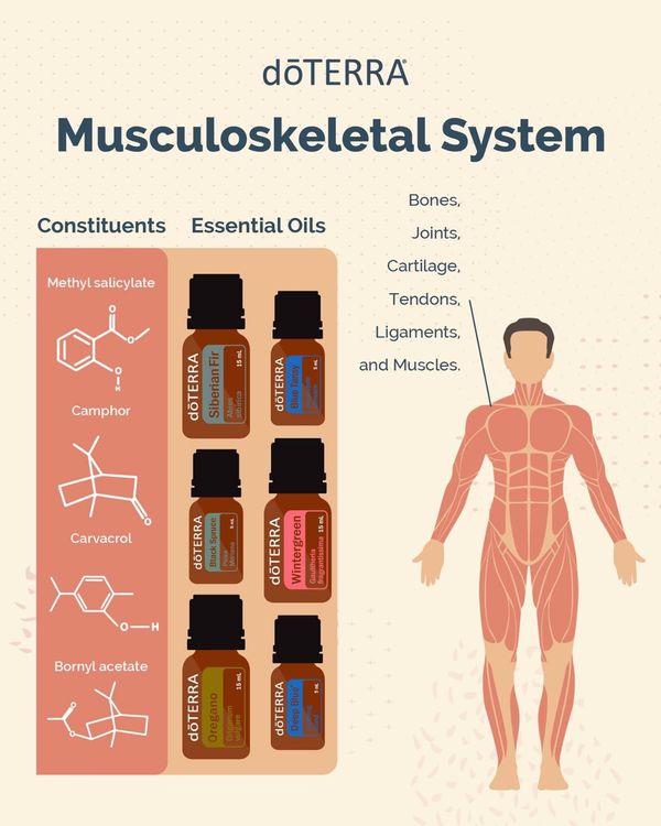 doTERRA Deep Blue Polyphenol Complex™ - 60 Kapseln (Neuf avec emballage ...