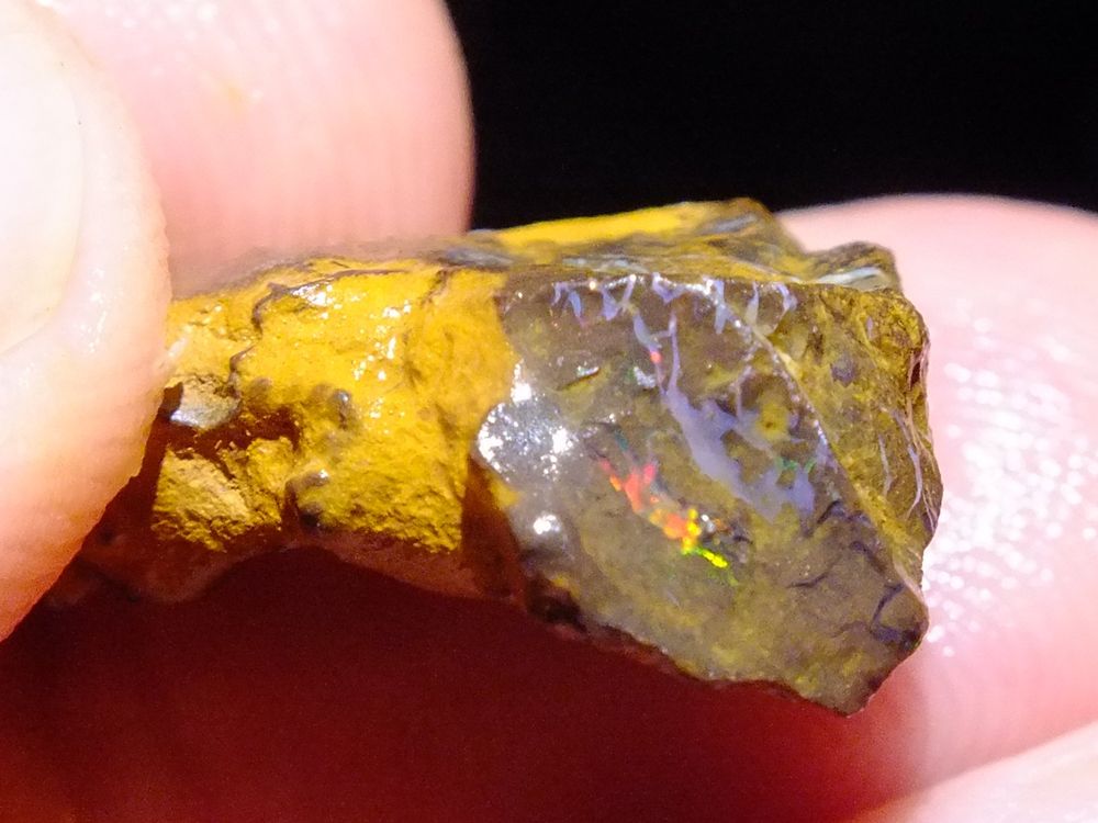 BOULDER ROH OPAL 16.60 Karat Gebot 1.- Rot Yellow Grün feuer (Neu und ...