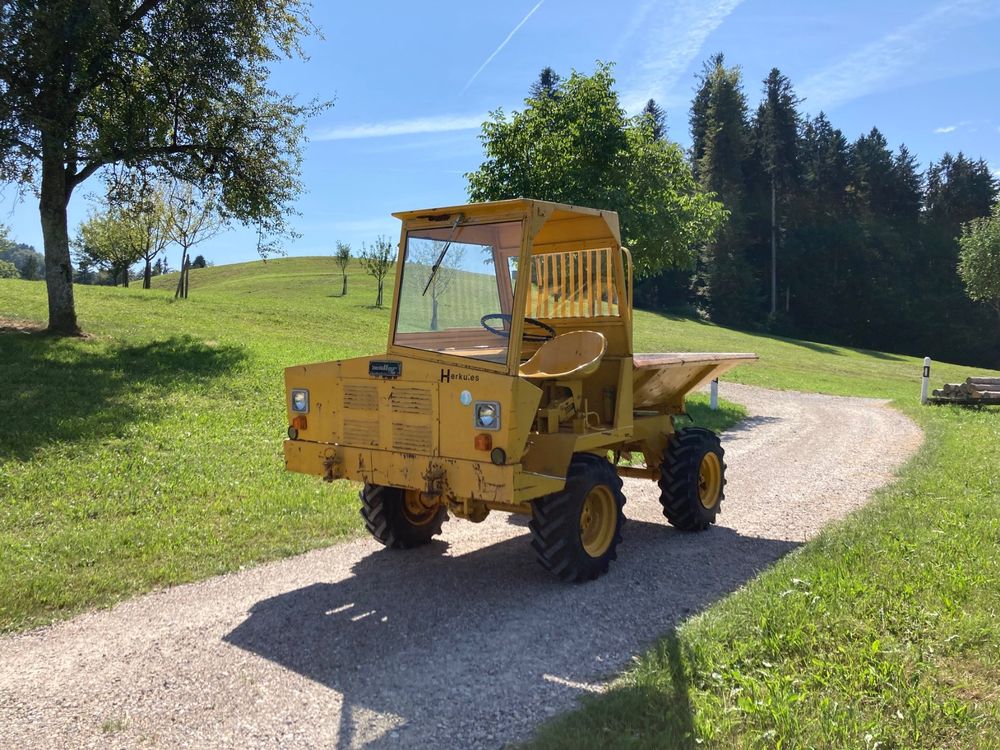 Dumper (Transporter Dreiseitenkipper Motorkarren) (Gebraucht) in für ...