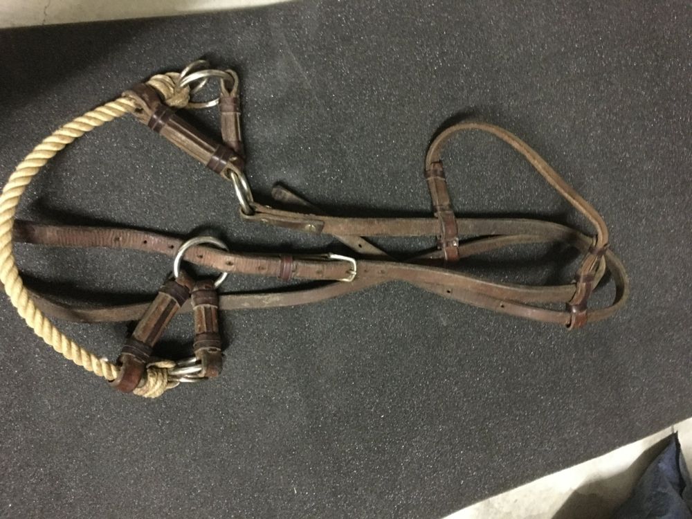 Bosal Zaum | Kaufen auf Ricardo