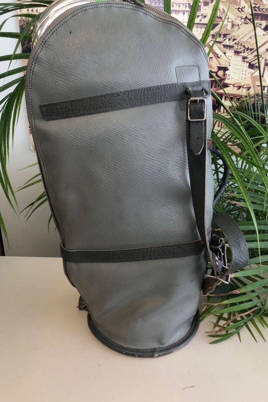 Blechblasinstrument - Euphonium- Familie der Bügelhörner ! (Gebraucht ...