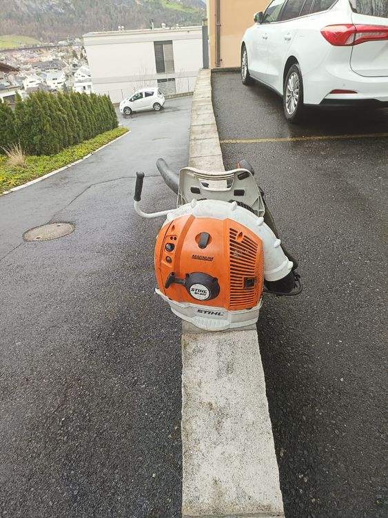 STIHL BR 600 | Kaufen auf Ricardo