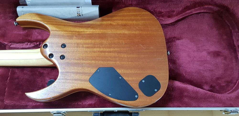 Ibanez RGA121 (Prestige Reihe) (Gebraucht) in für CHF 400 – nur ...