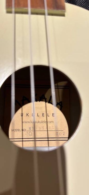 Makala Ukulele Shark (Gebraucht) in Bern für CHF 25 – mit Lieferung auf ...